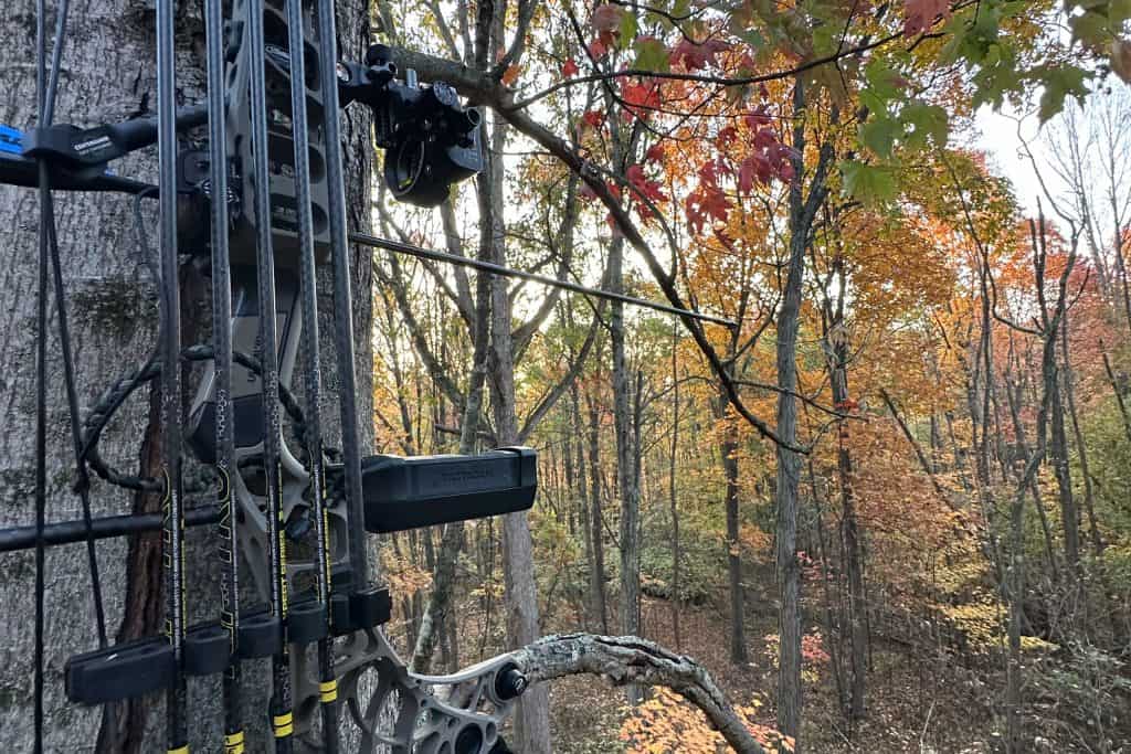 Deer Hunting Seasons: Which One's Best for You - The Whitecat Outdoors ...